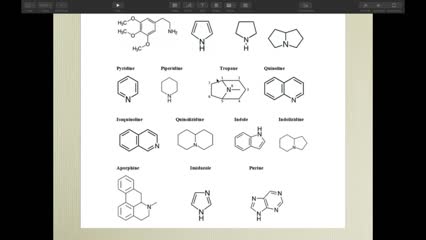 45_structural-classes-of-alkaloids-mp4 | McKenna Academy of Natural ...